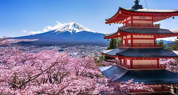 6 Best Reasons Why Visit Japan: More Than Culture & Food