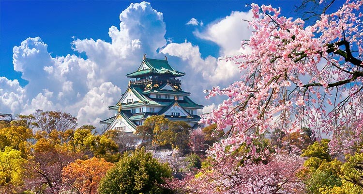 Private 10-Day Japan Highlights and Cherry Blossom Tour